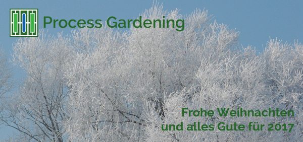 Frohe Weihnachten 2016 - Process Gardening